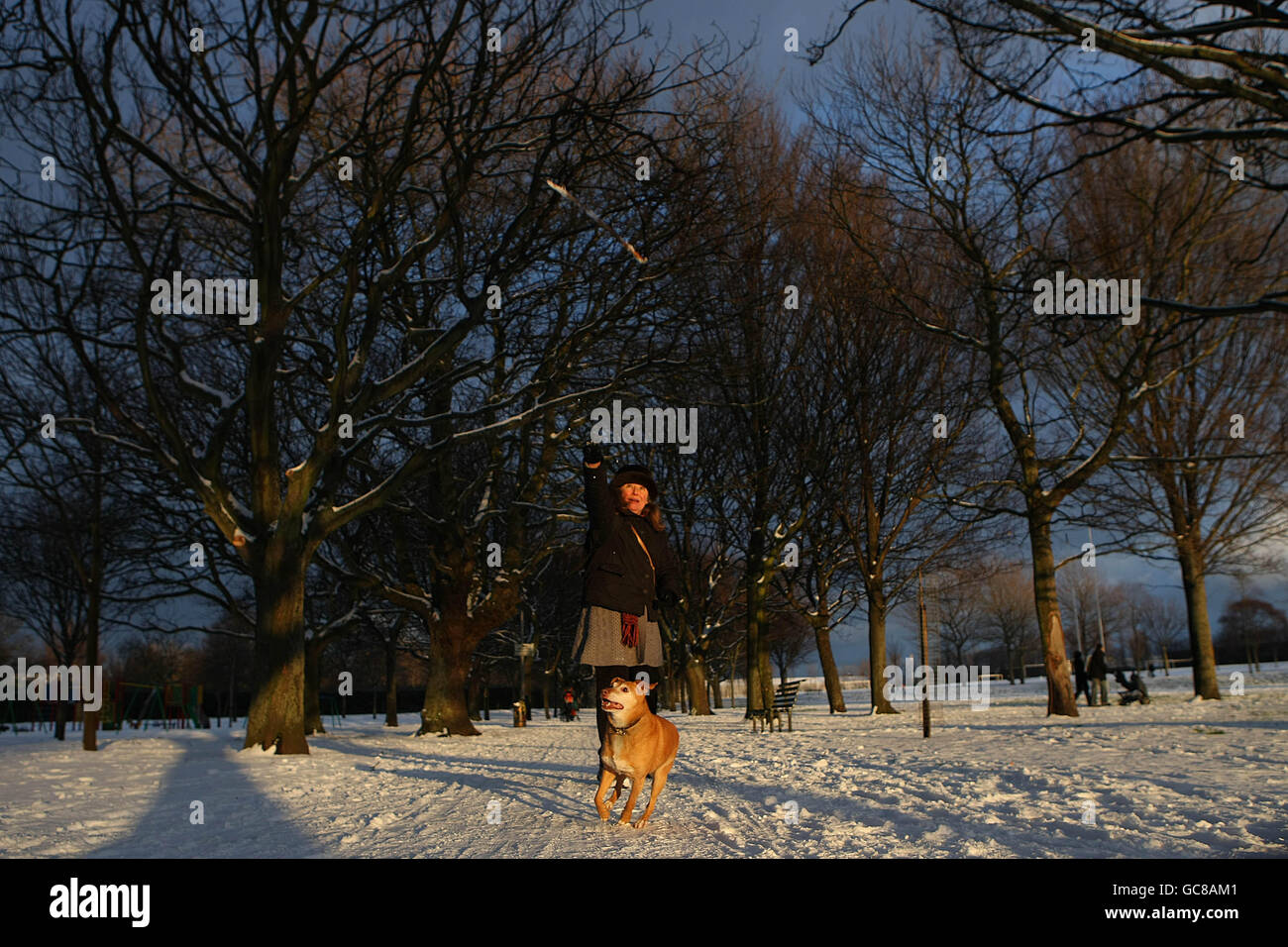 Winter 2010 ireland hi-res stock photography and images - Alamy