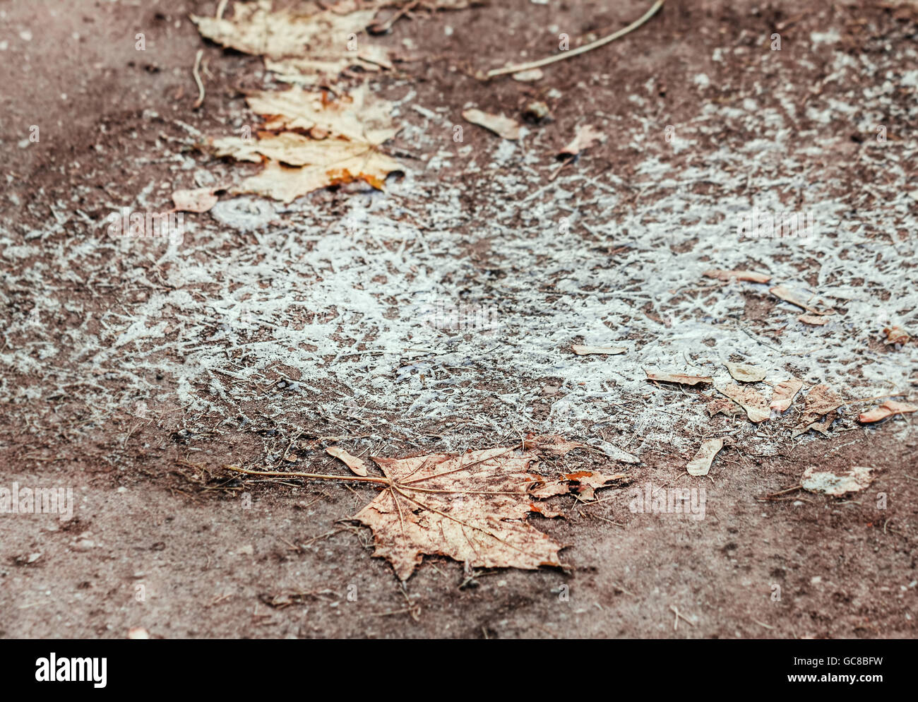 Ice on puddles hi-res stock photography and images - Alamy