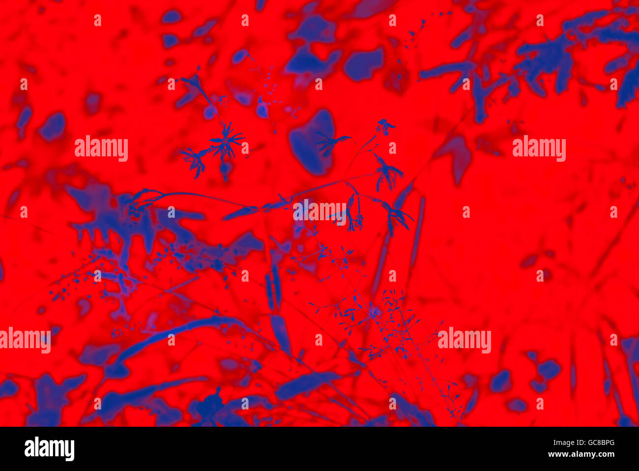 Blue on red abstract hi-res stock photography and images - Alamy