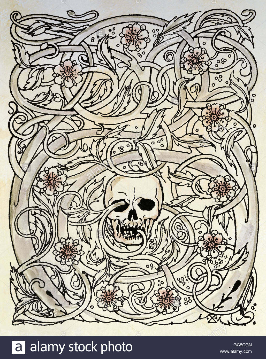 Graphics Skull Stock Photos & Graphics Skull Stock Images - Alamy