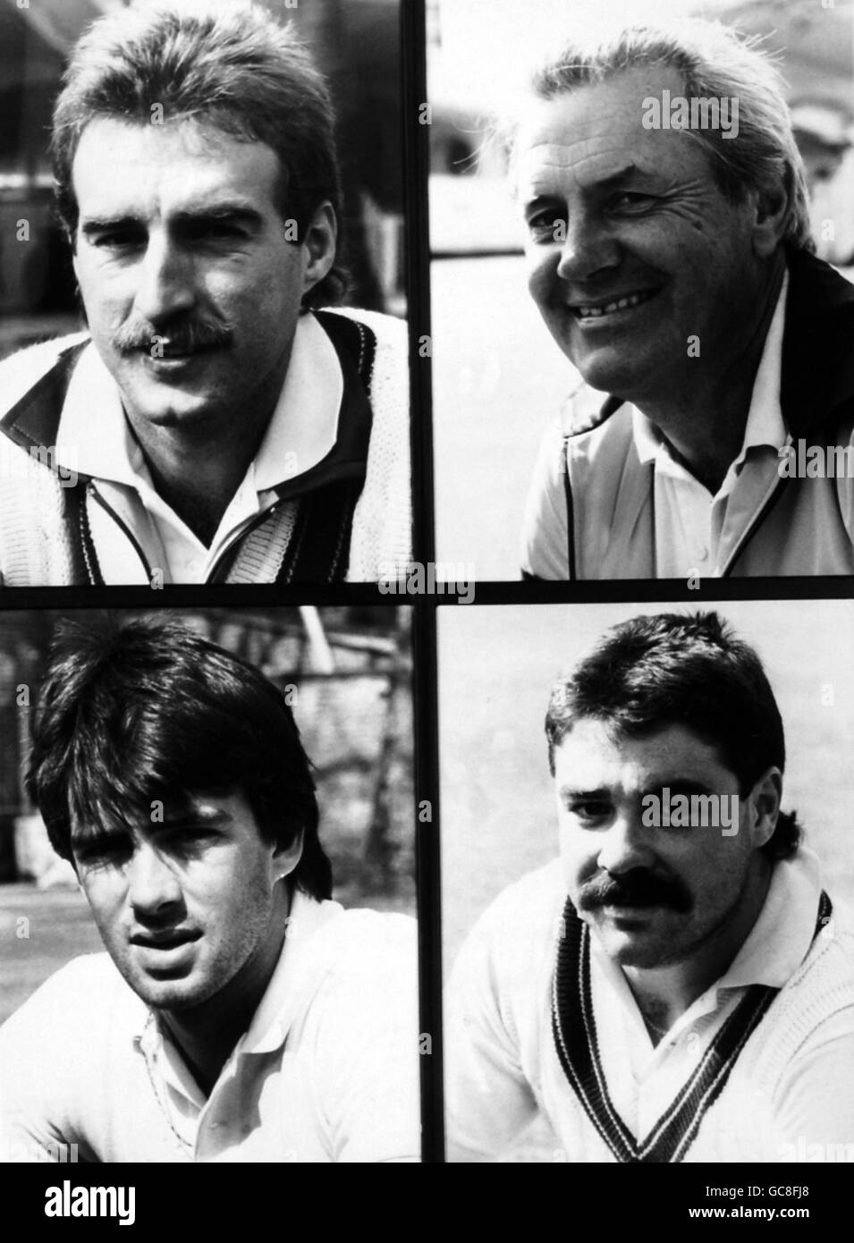 Bottom left right simon odonnell and david boon hi-res stock ...