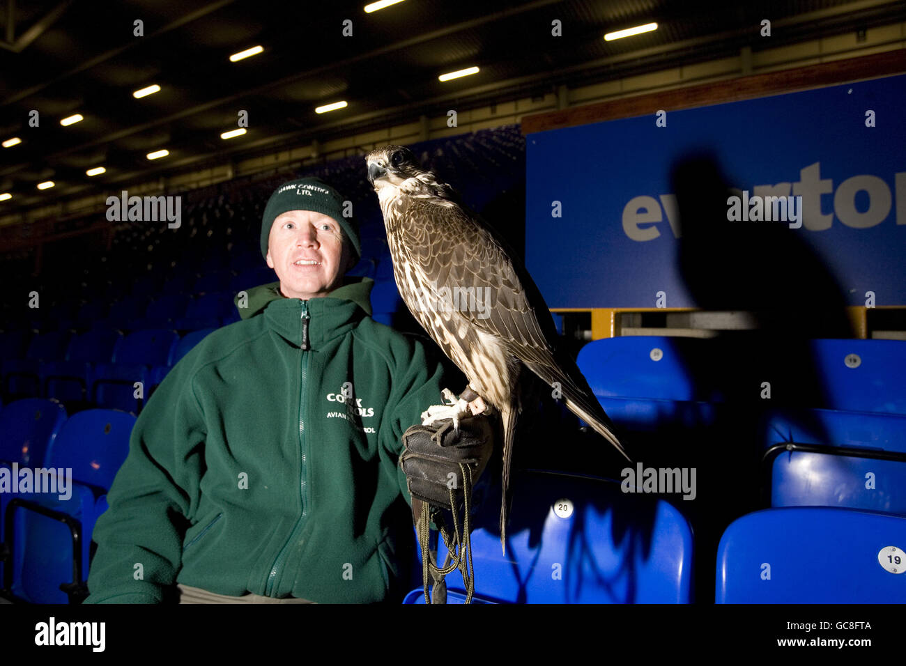 Hawk chasing hi-res stock photography and images - Alamy