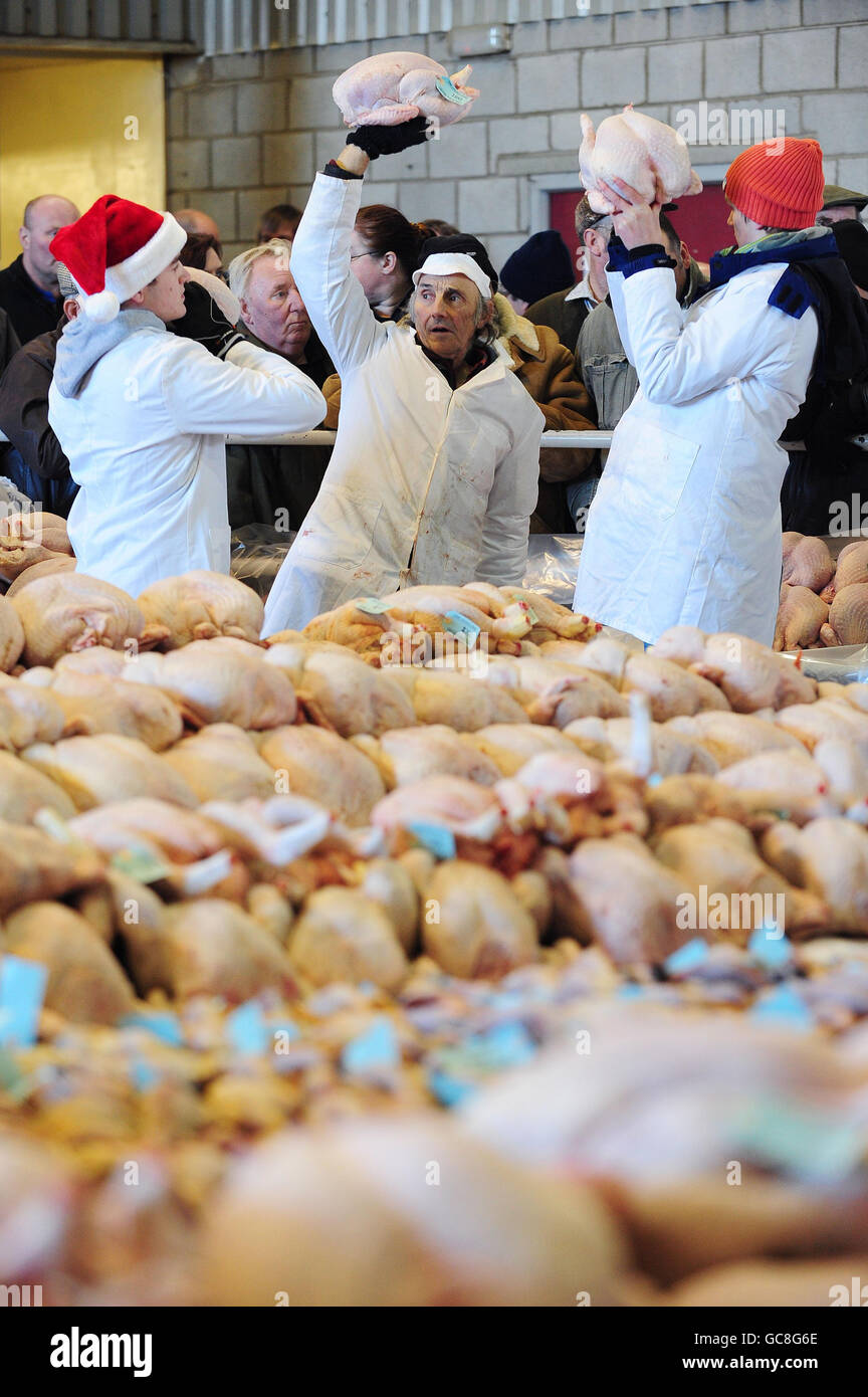 The annual fresh poultry auction gets underway at York Auction Centre ...