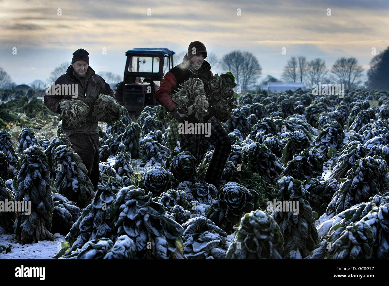 Adam Walters High Resolution Stock Photography and Images - Alamy