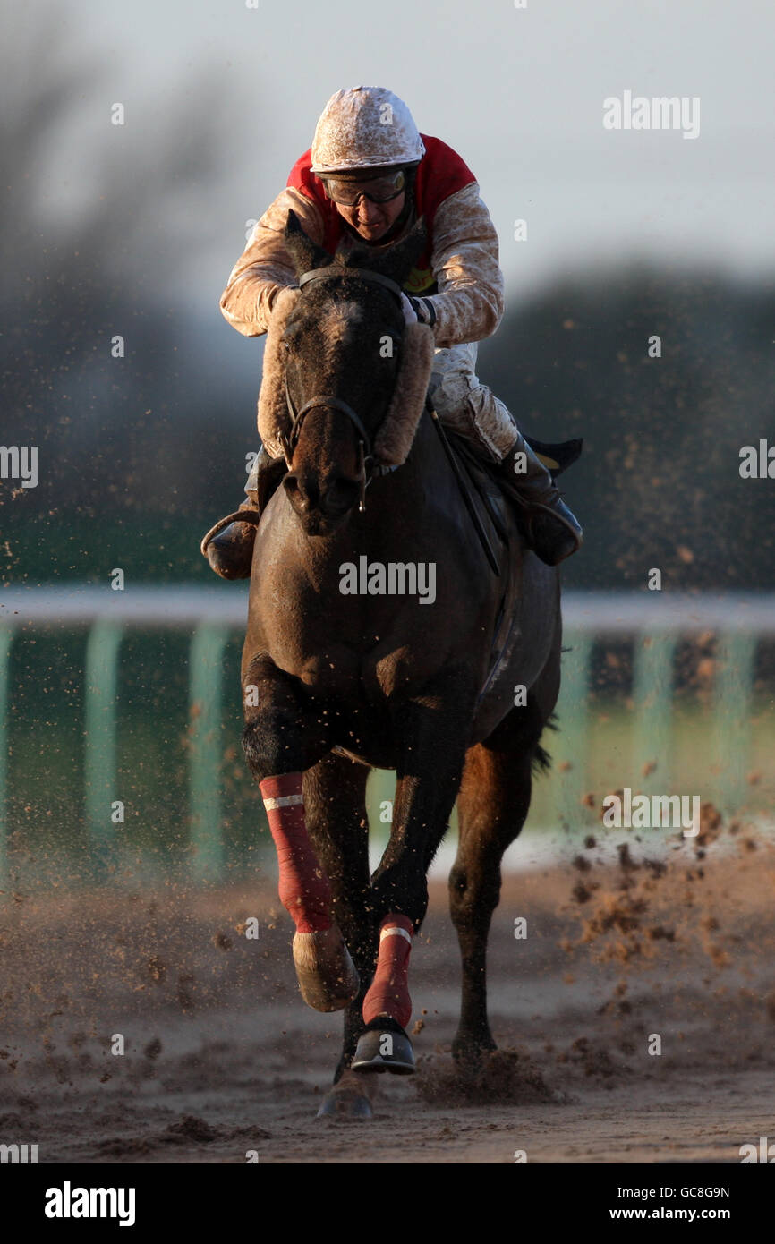 Jockey Tony Culhane on Don Pele after racing in the Totepool Our ...
