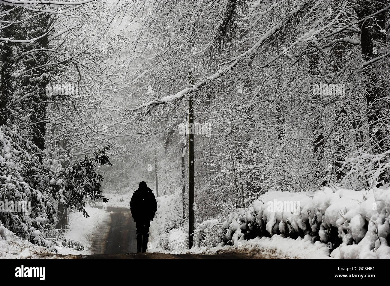 A White Christmas on the hills around Helmsley in North Yorkshire ...