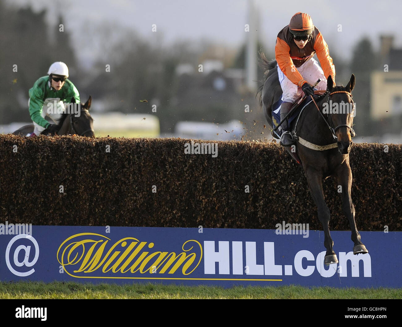 Horse long jump hi-res stock photography and images - Alamy