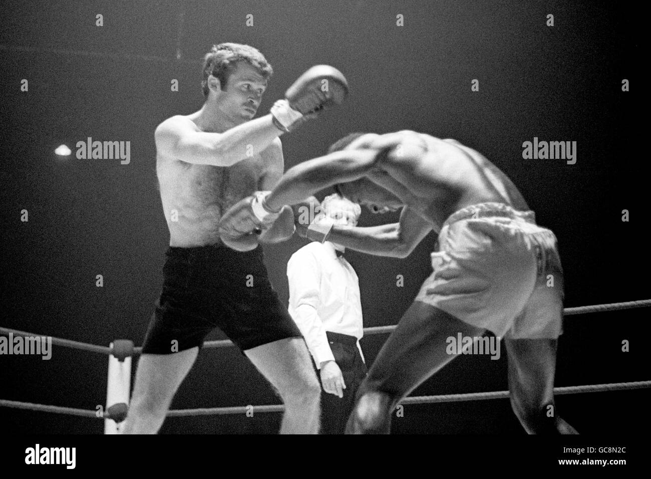 158650 1 hi-res stock photography and images - Alamy