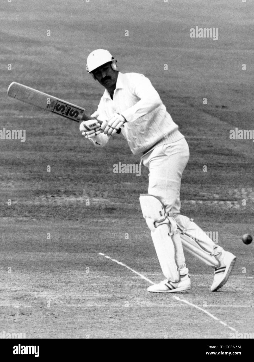 Full length player playing cricket stadium playground mangbk cricprints ...