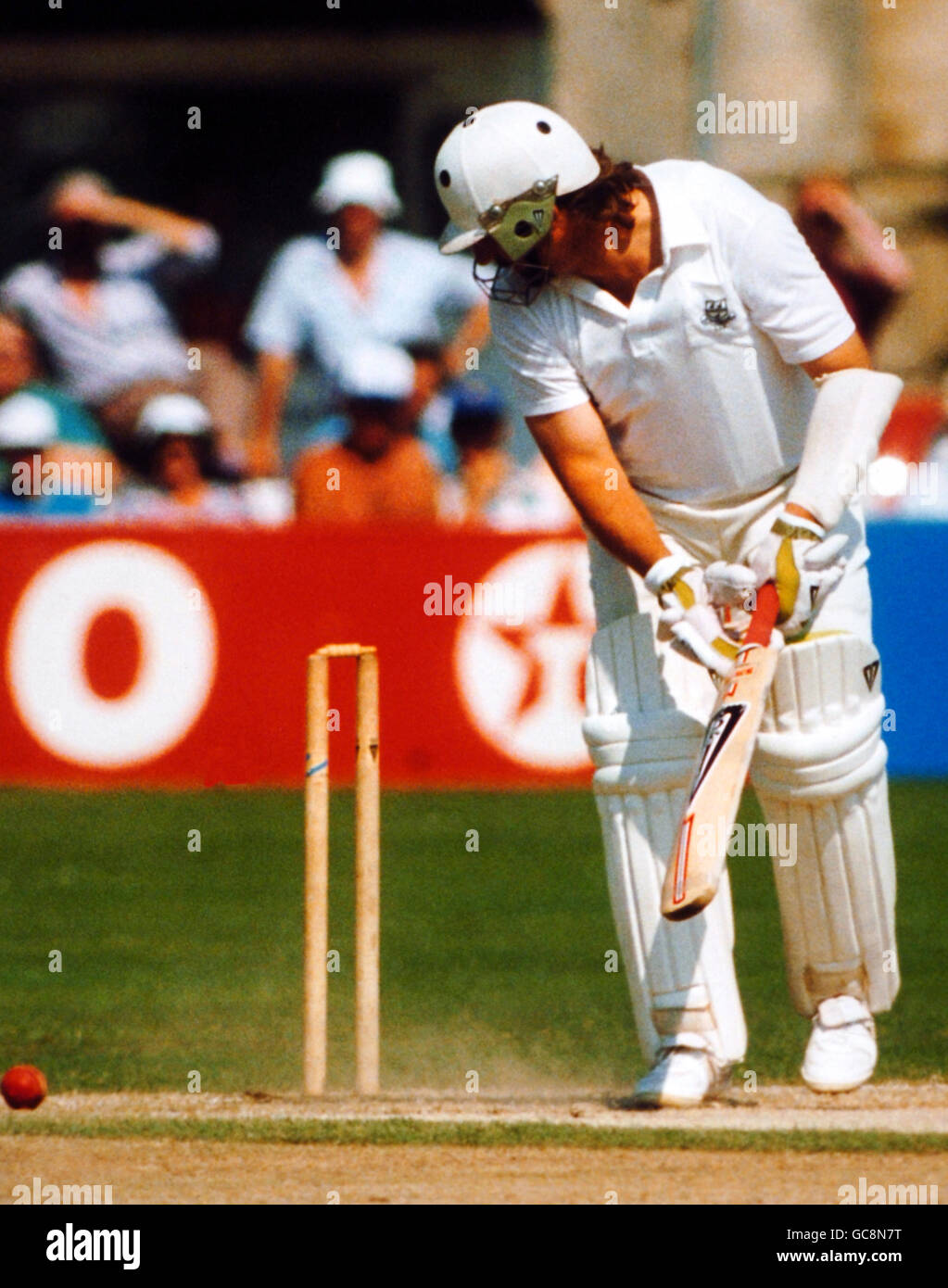 Cricprints hi-res stock photography and images - Alamy