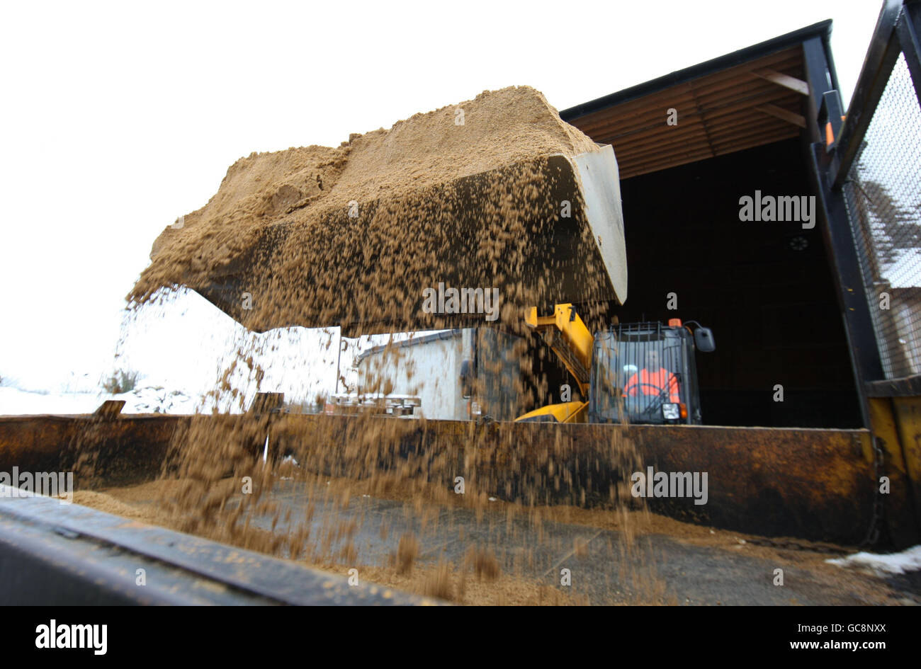 Sand is loaded onto to gritting lorries for distribution on local roads ...
