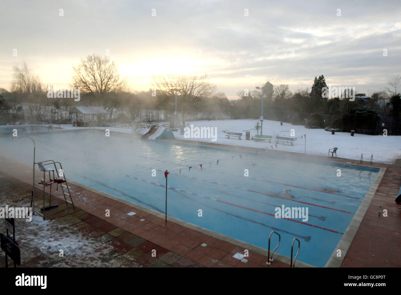 Swimming in the snow hi-res stock photography and images - Alamy