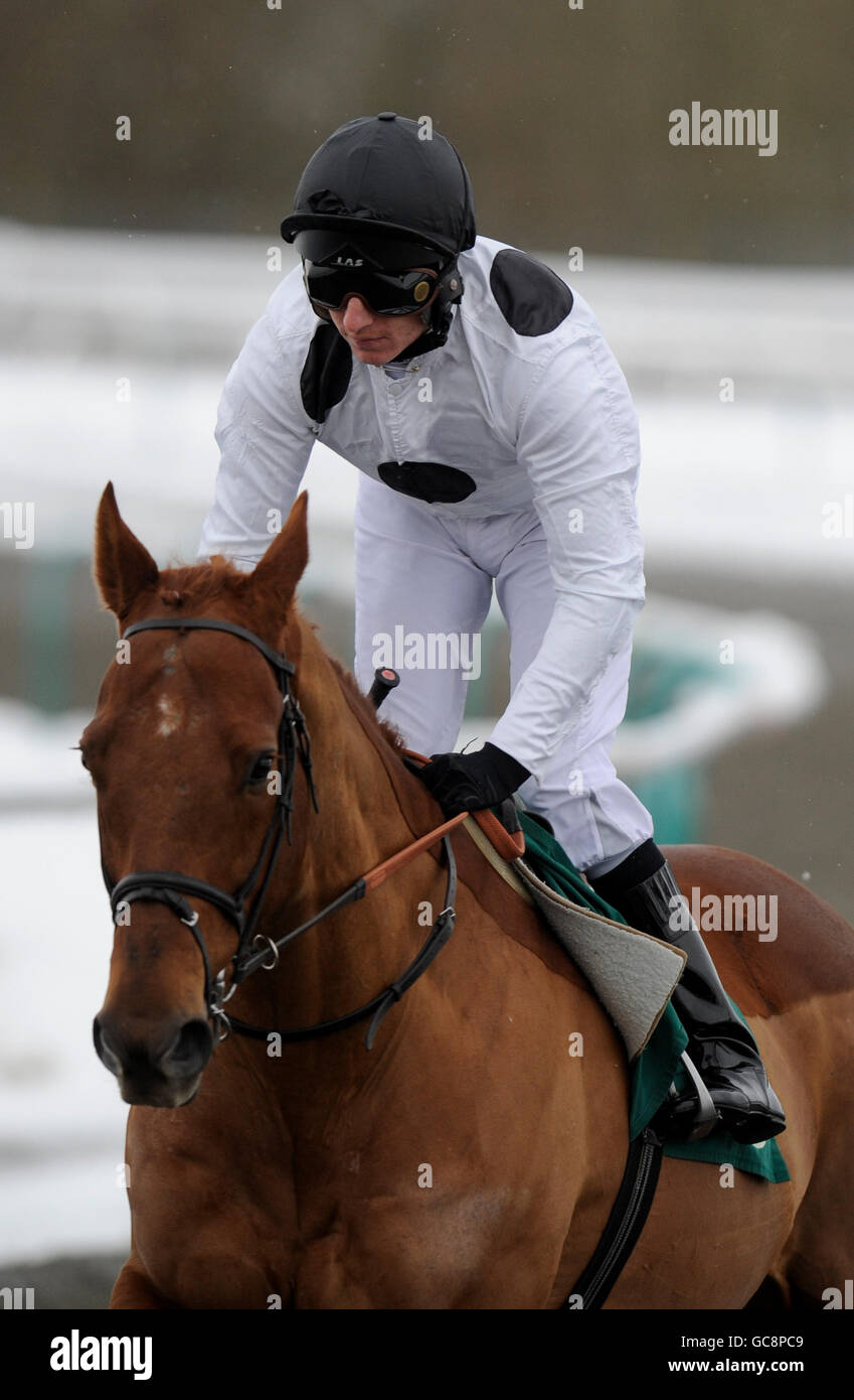 Jockey eddie ahern at lingfield racecourse hi-res stock photography and ...