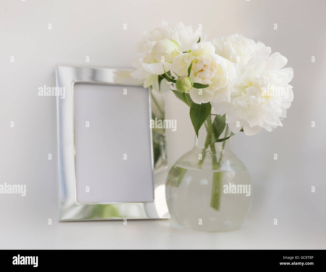 Cream flowers bouquet white background hi-res stock photography and ...