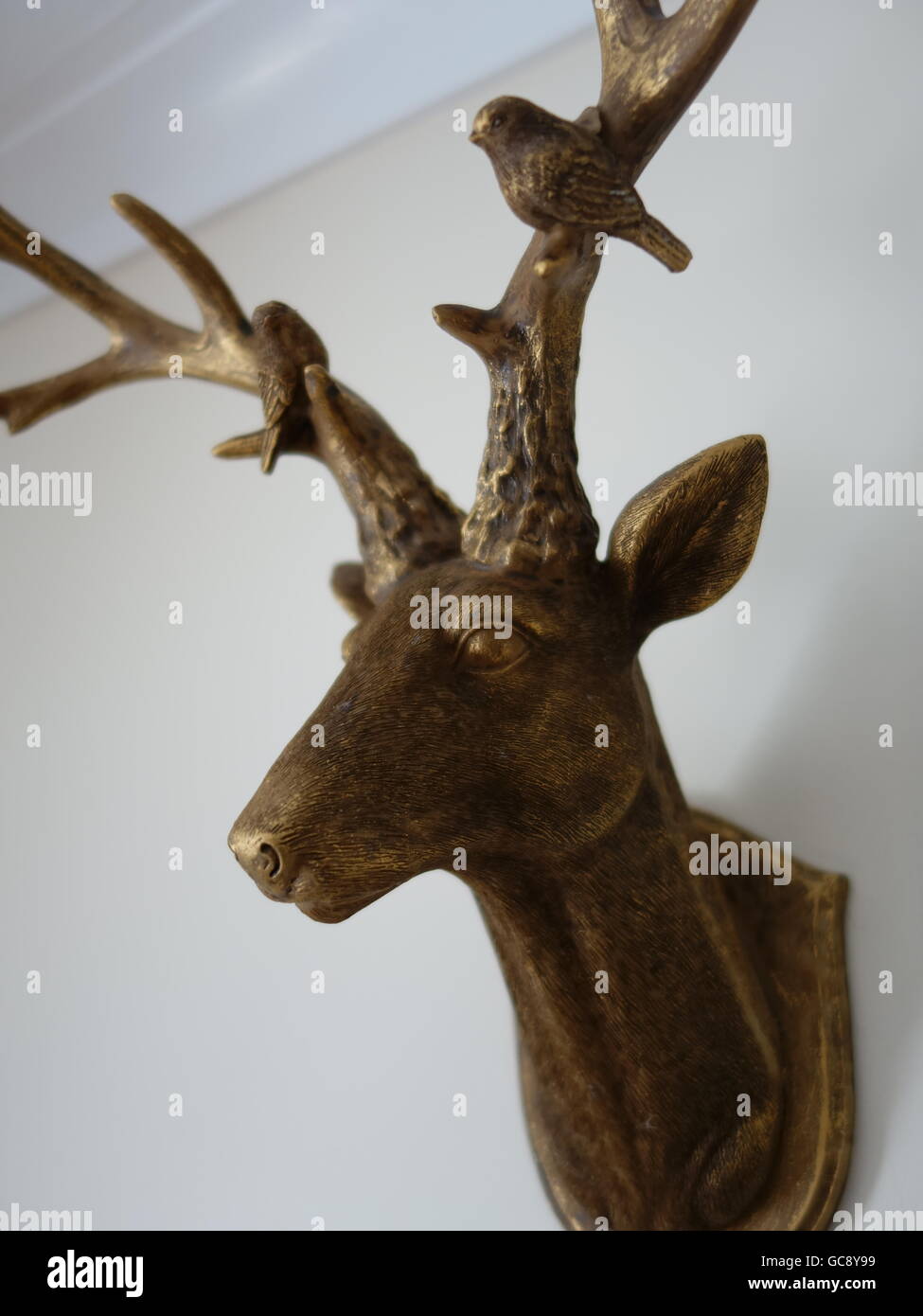 A fake deer head mounted on a wall Stock Photo - Alamy