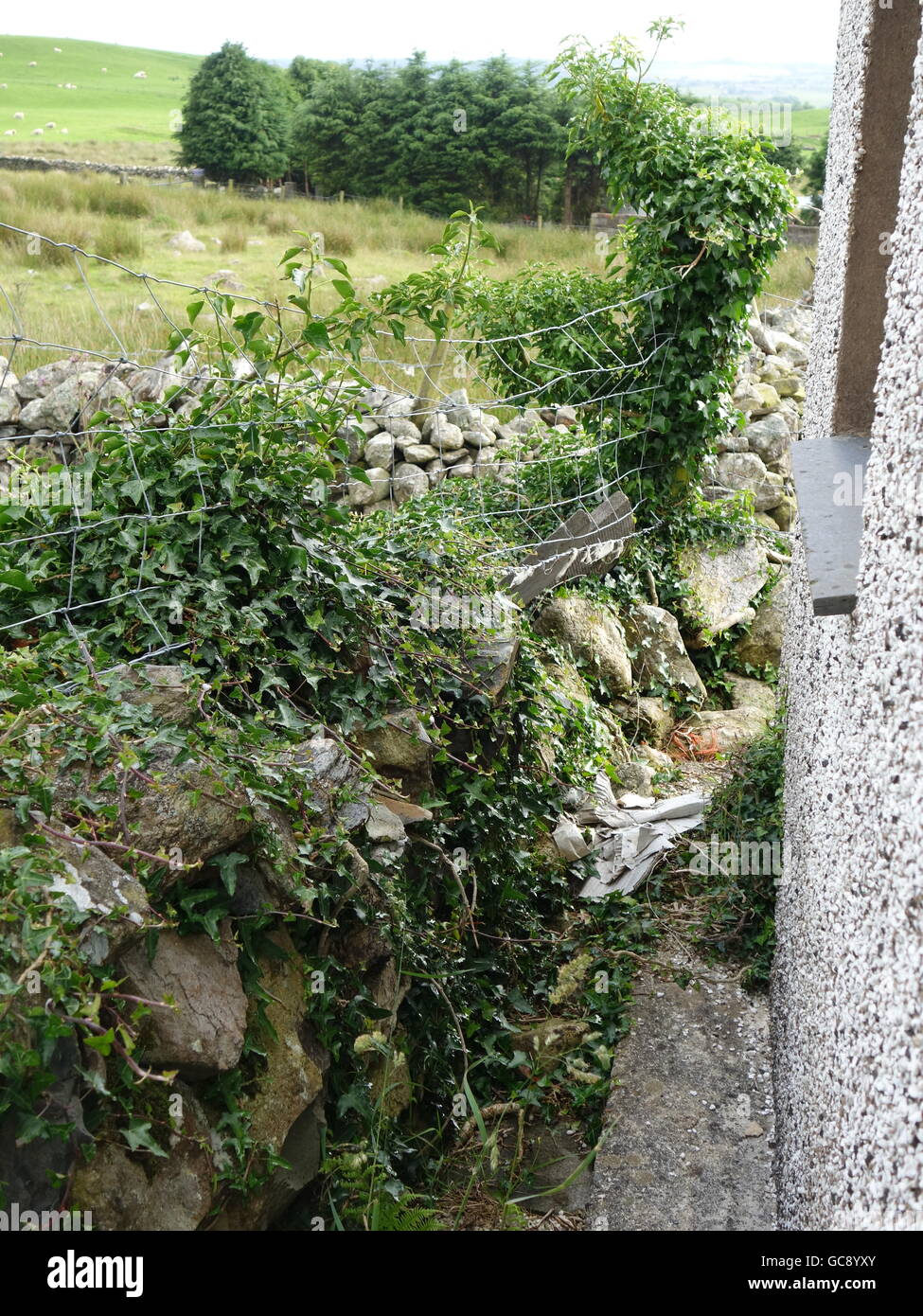 An old stone wall and fields in Wales Stock Photo - Alamy