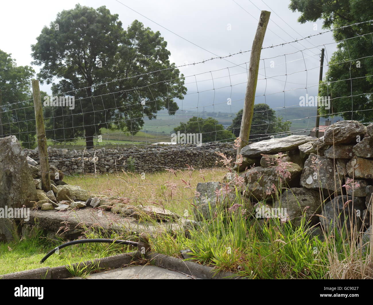 An old stone wall and fields in Wales Stock Photo - Alamy