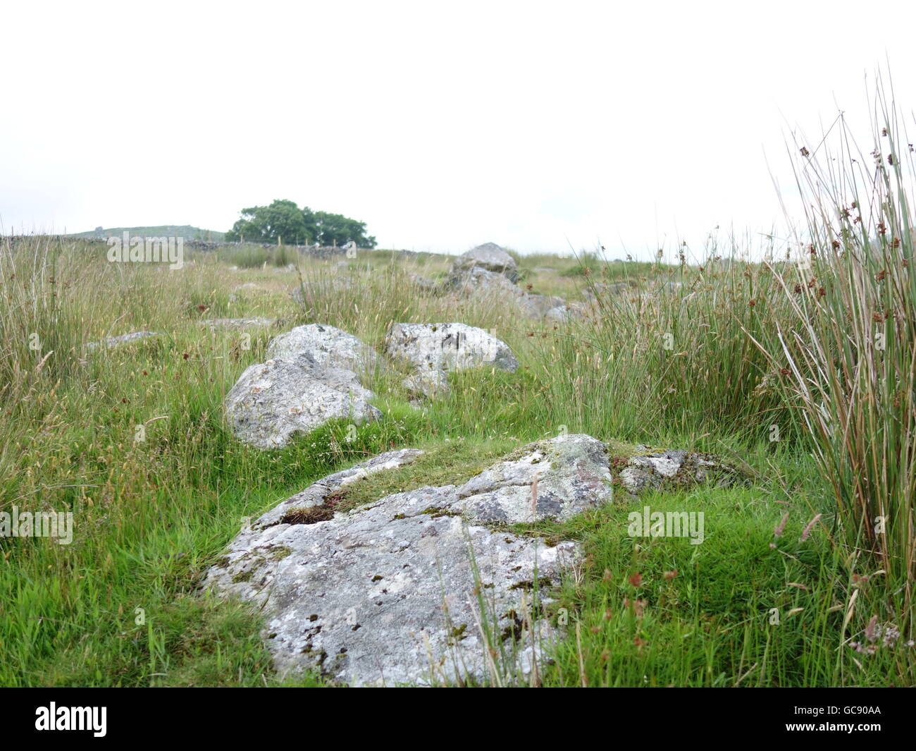A large overgrown rock in the middle of a field Stock Photo - Alamy