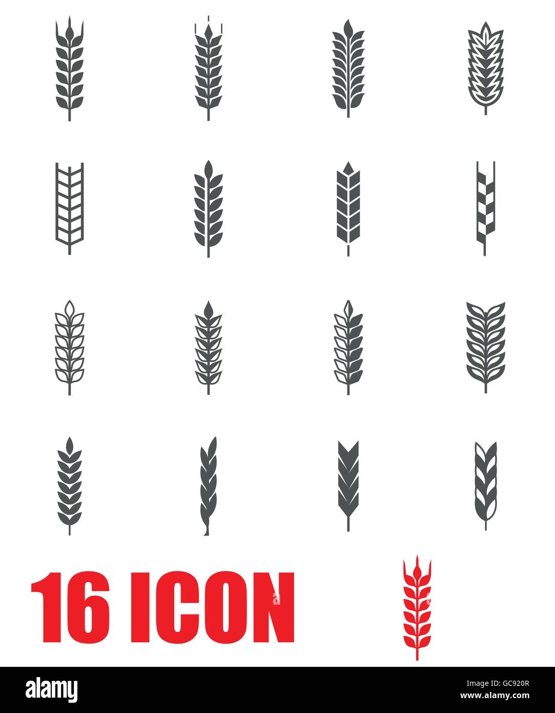 Vector grey wheat ear icon set Stock Vector Image & Art - Alamy Vector grey wheat ear icon set Stock Vector Image & Art - Alamy