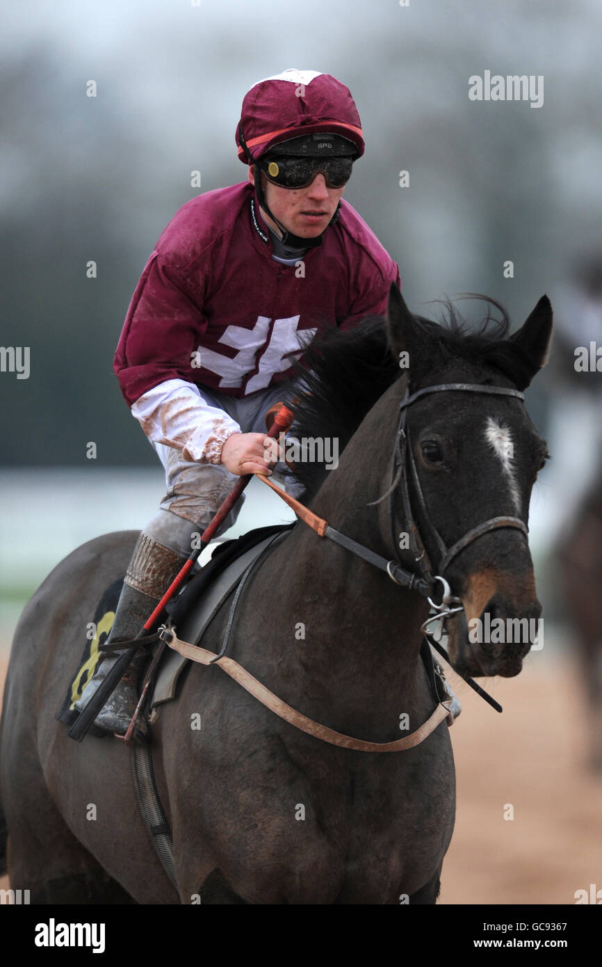 Horse racing races all weather ampics hi-res stock photography and ...