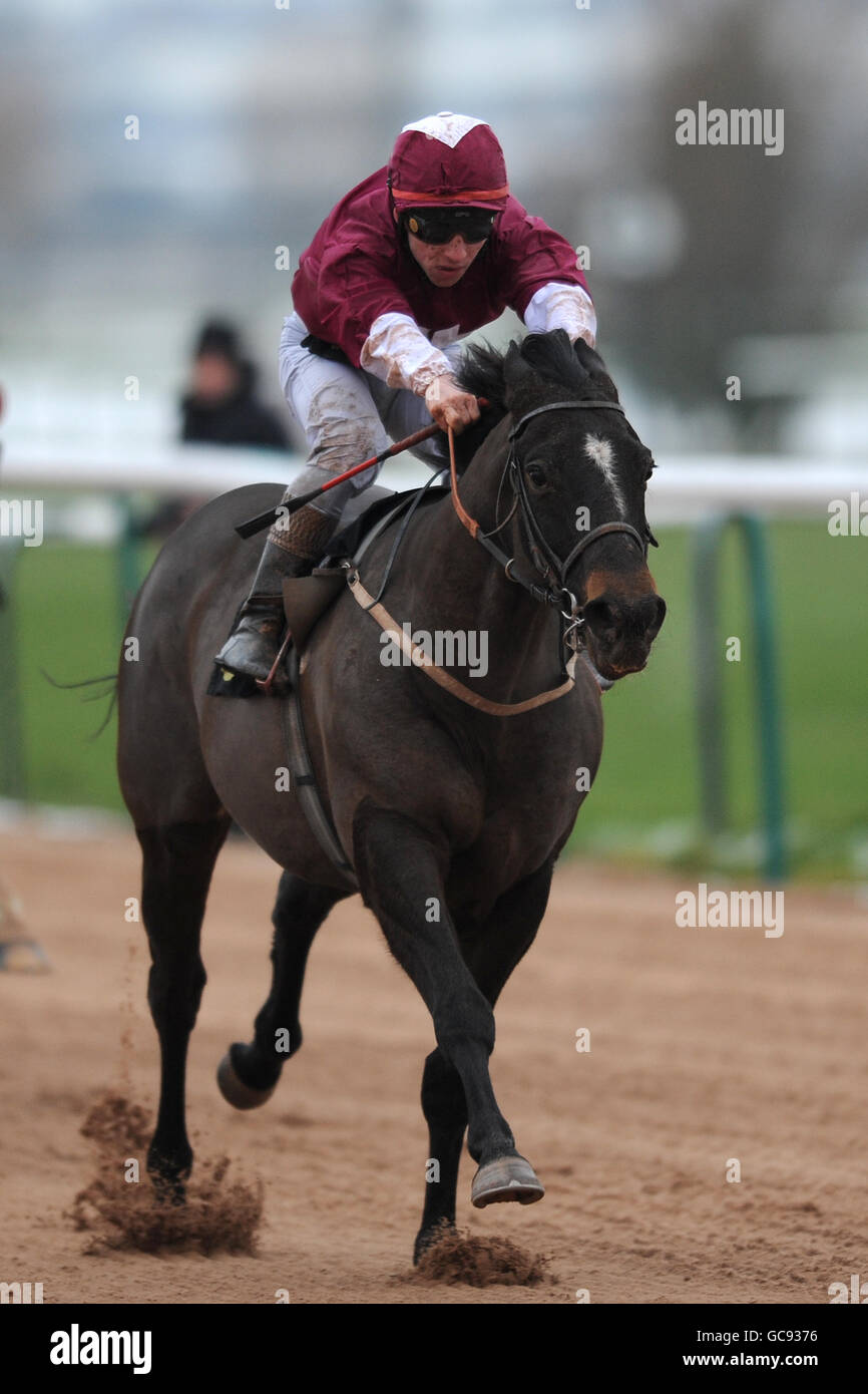 Races full length action all weather track course ampics hi-res stock ...
