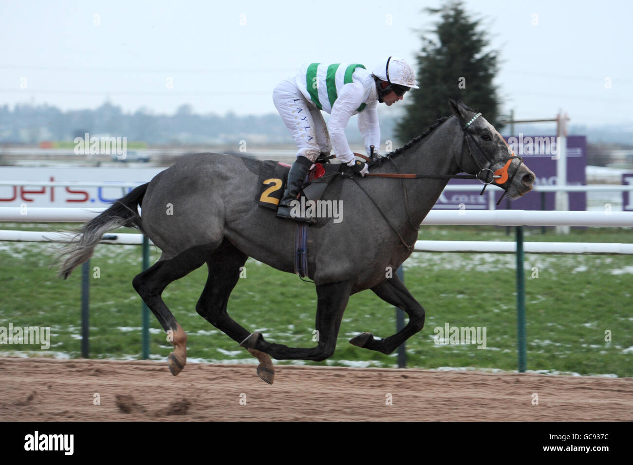 Horse racing races all weather ampics hi-res stock photography and ...
