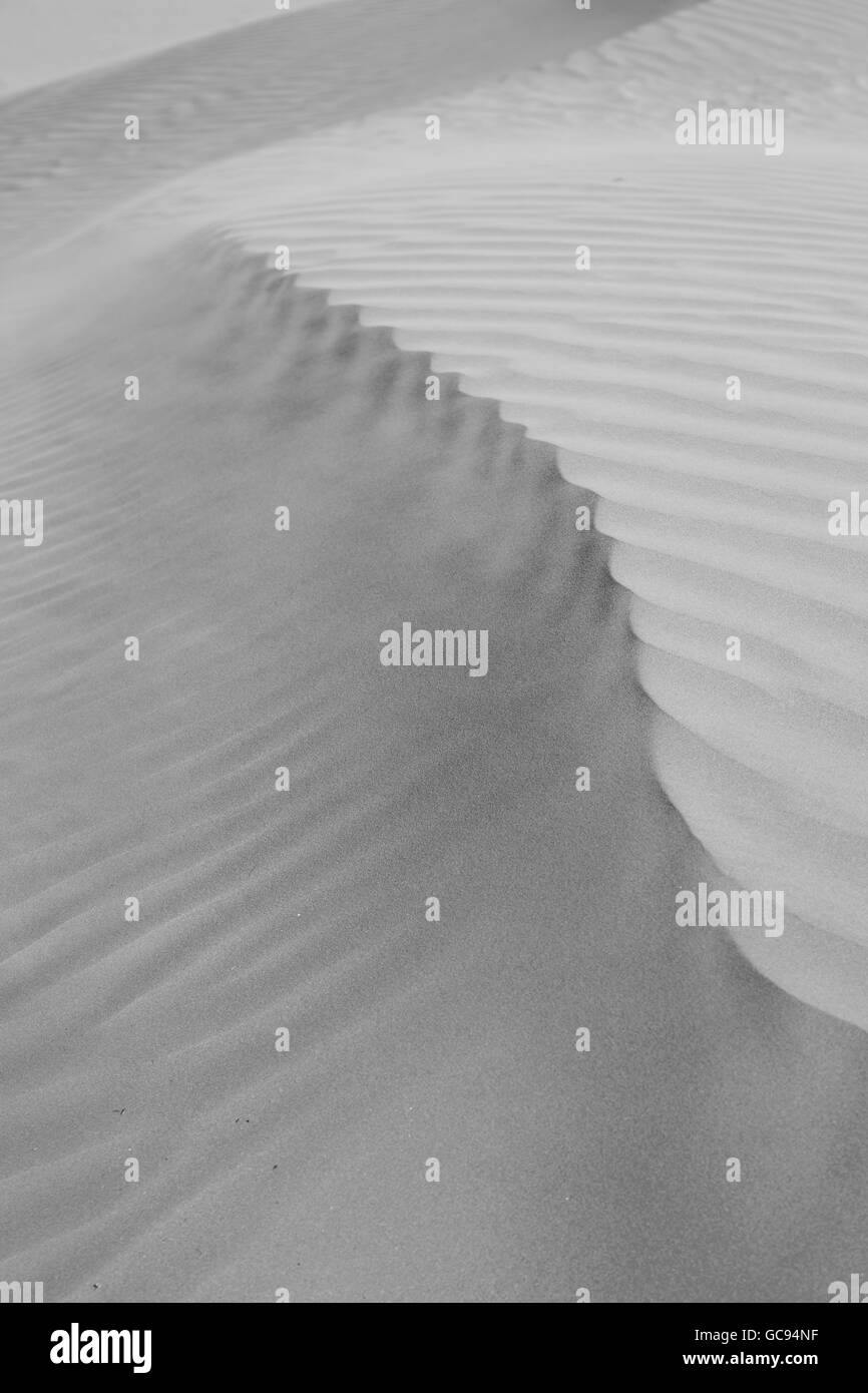 the empty quarter and outdoor sand dune in oman old desert rub al khali ...