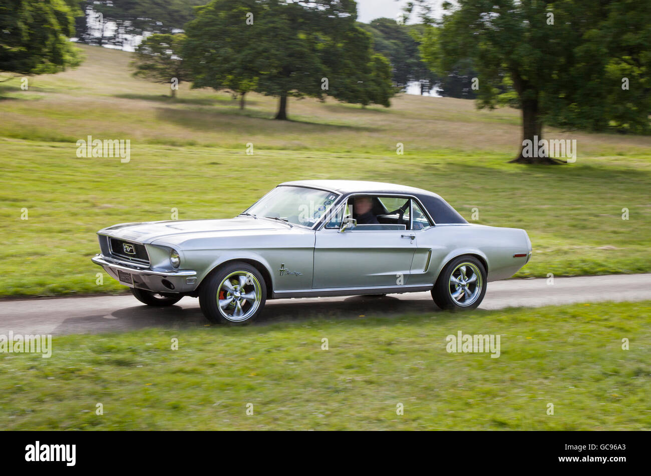 1958 50s fifties American Ford Mustang at the Lakeland Classic Car ...