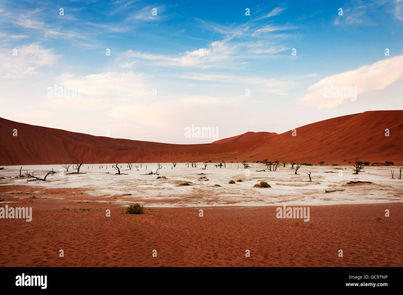 View of the Deadvlei in Namibia Stock Photo - Alamy