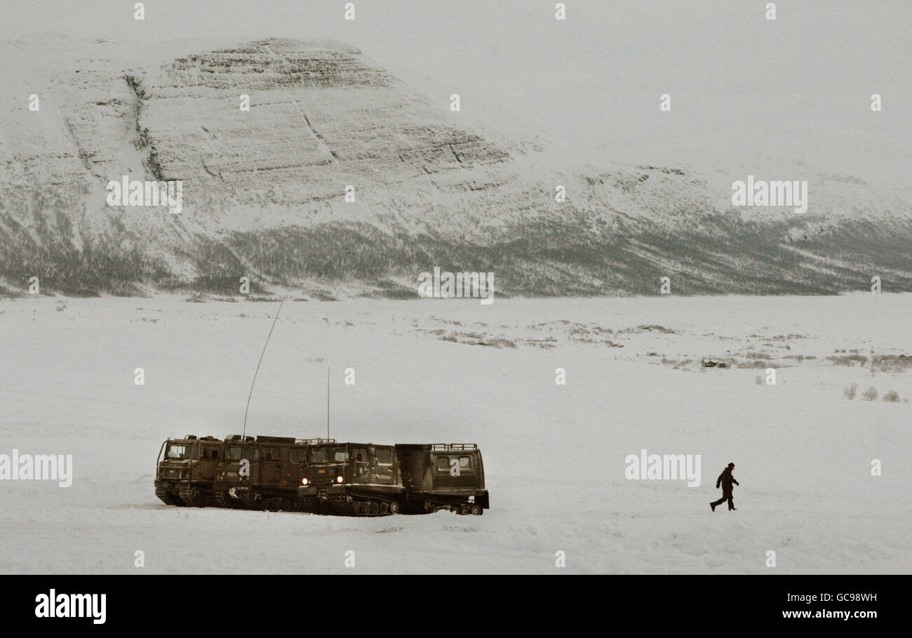 Royal Marines from 45 Commando during a ten week winter warfare ...