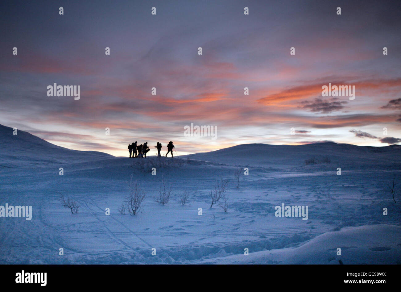Royal Marines from 45 Commando during a ten week winter warfare ...