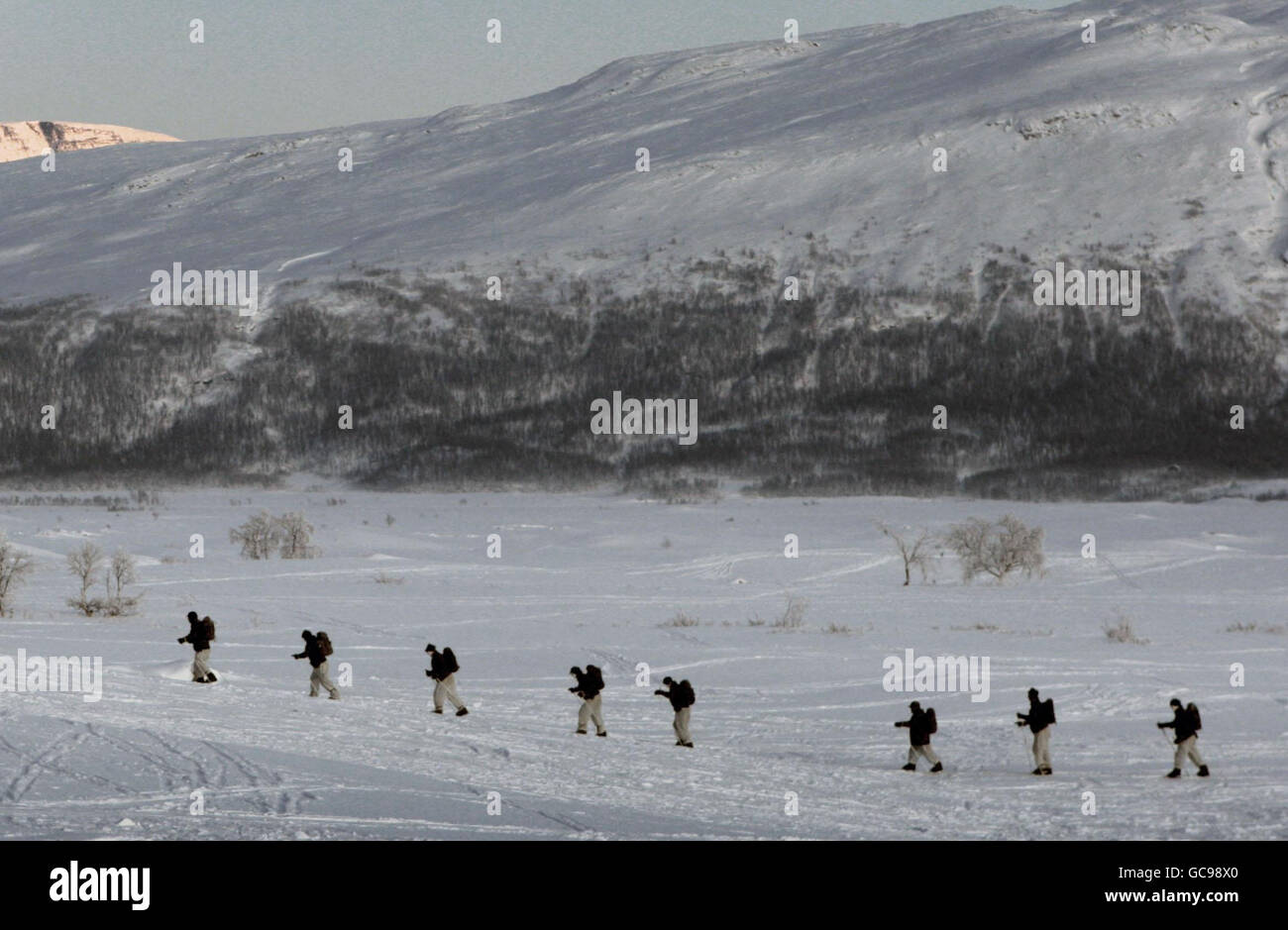 Royal Marines from 45 Commando during a ten week winter warfare ...