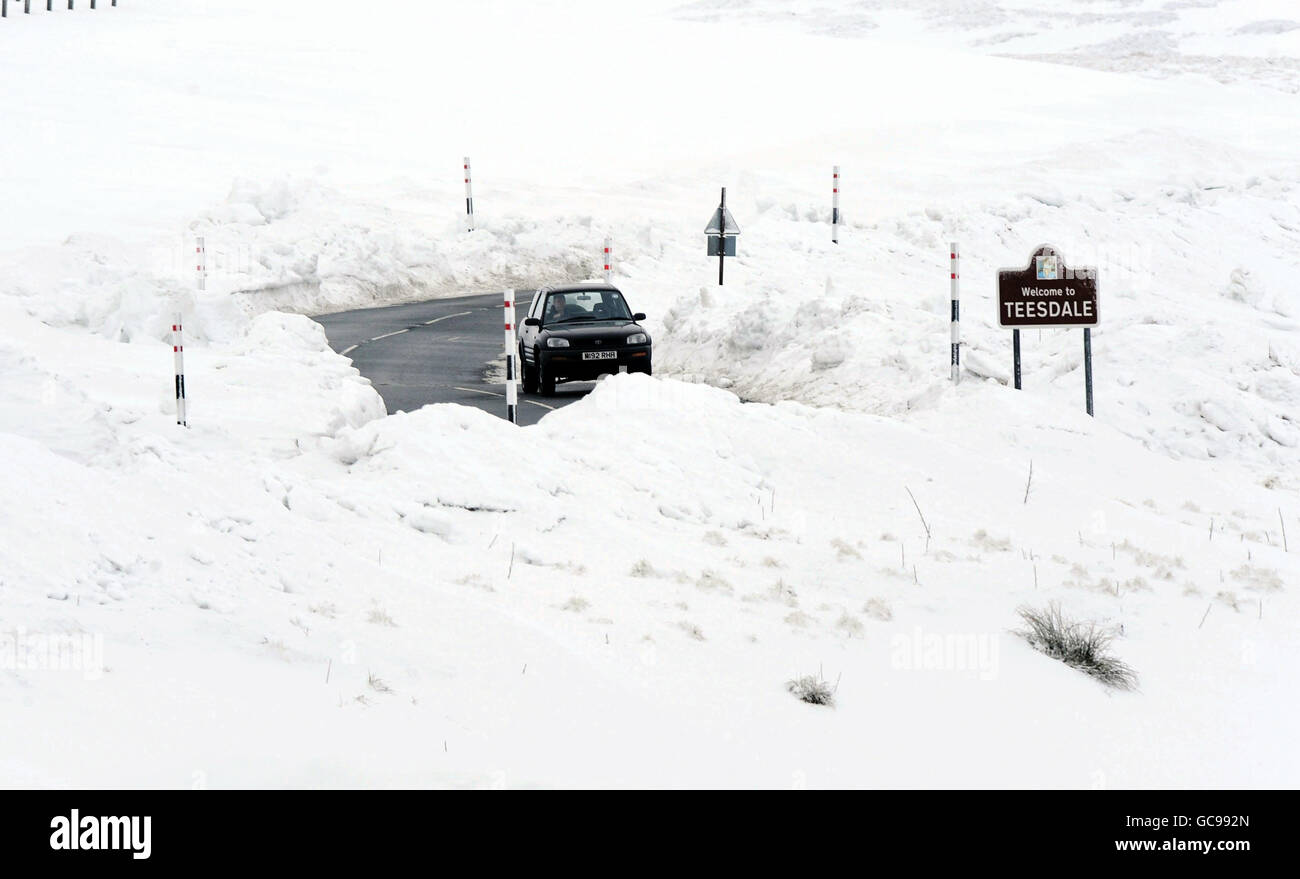 Three inches of fresh snow on the ground in Tessdale after snowfall ...