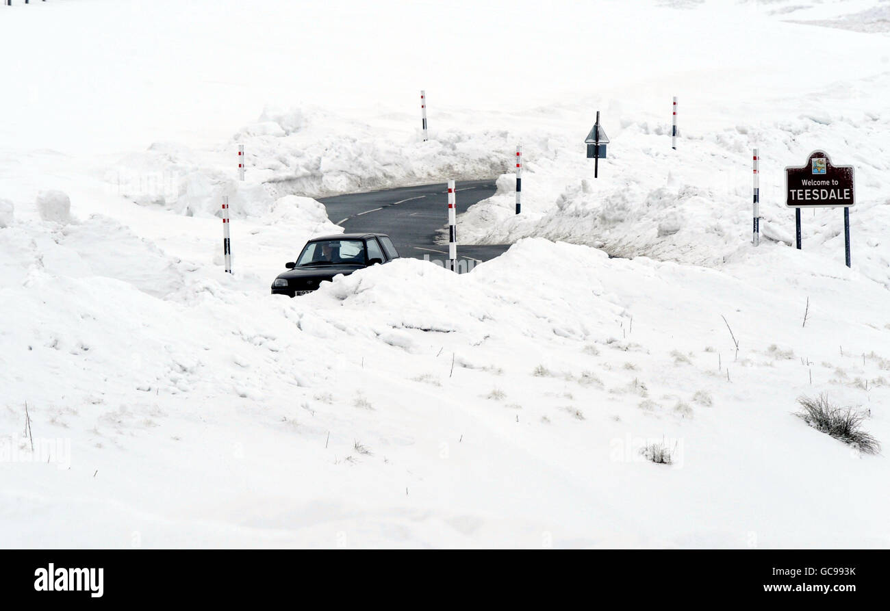 Three inches of fresh snow on the ground in Tessdale after snowfall ...