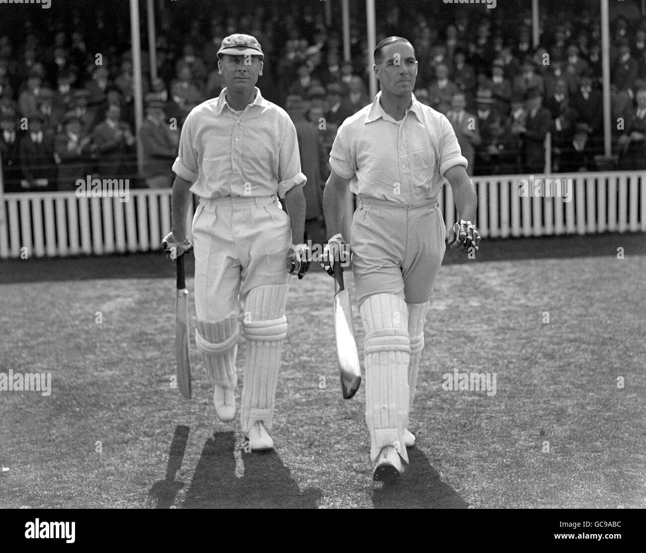 Cricket fifth test match hi-res stock photography and images - Alamy