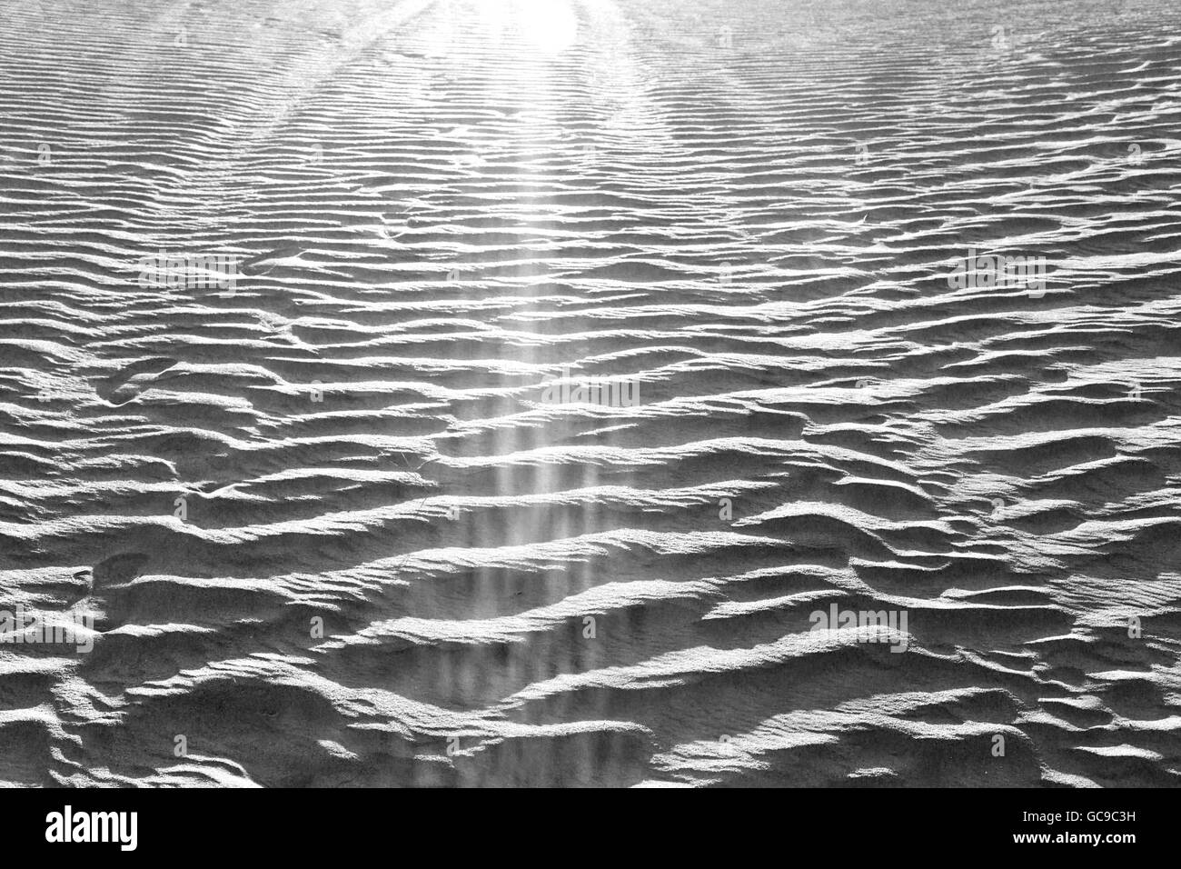 abstract texture line wave in oman the old desert and the empty quarter ...