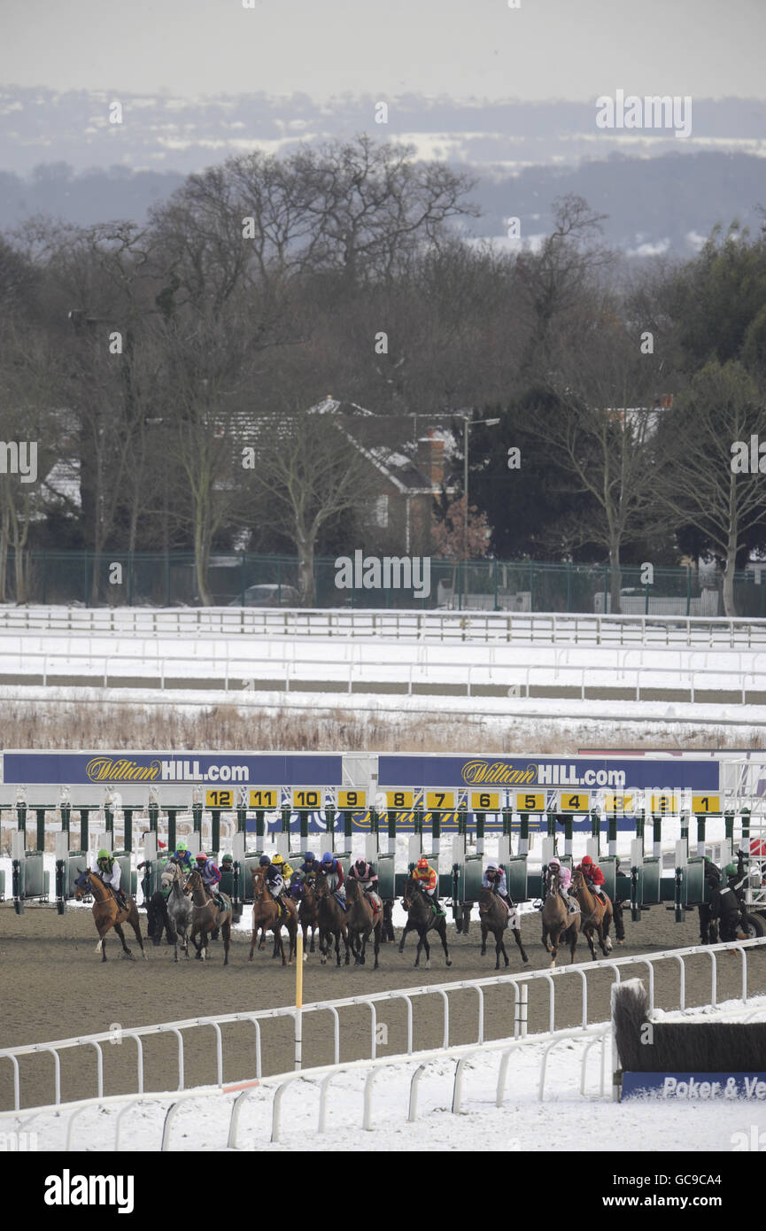 Horse traps hi-res stock photography and images - Alamy