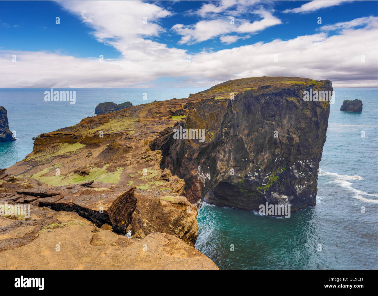 Dyrholaey promontory, Iceland Stock Photo - Alamy