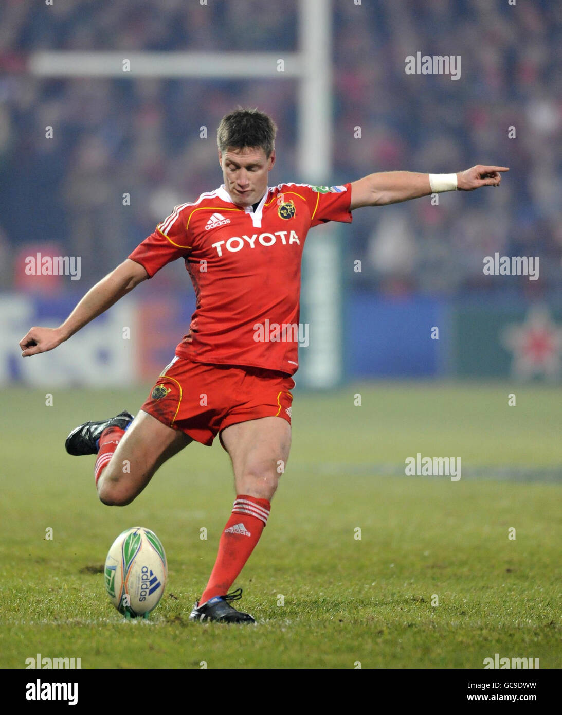 Rugbyu munster full length mangrr hi-res stock photography and images ...