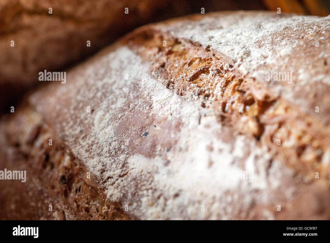 Freshly baked crusty loaf Stock Photo - Alamy