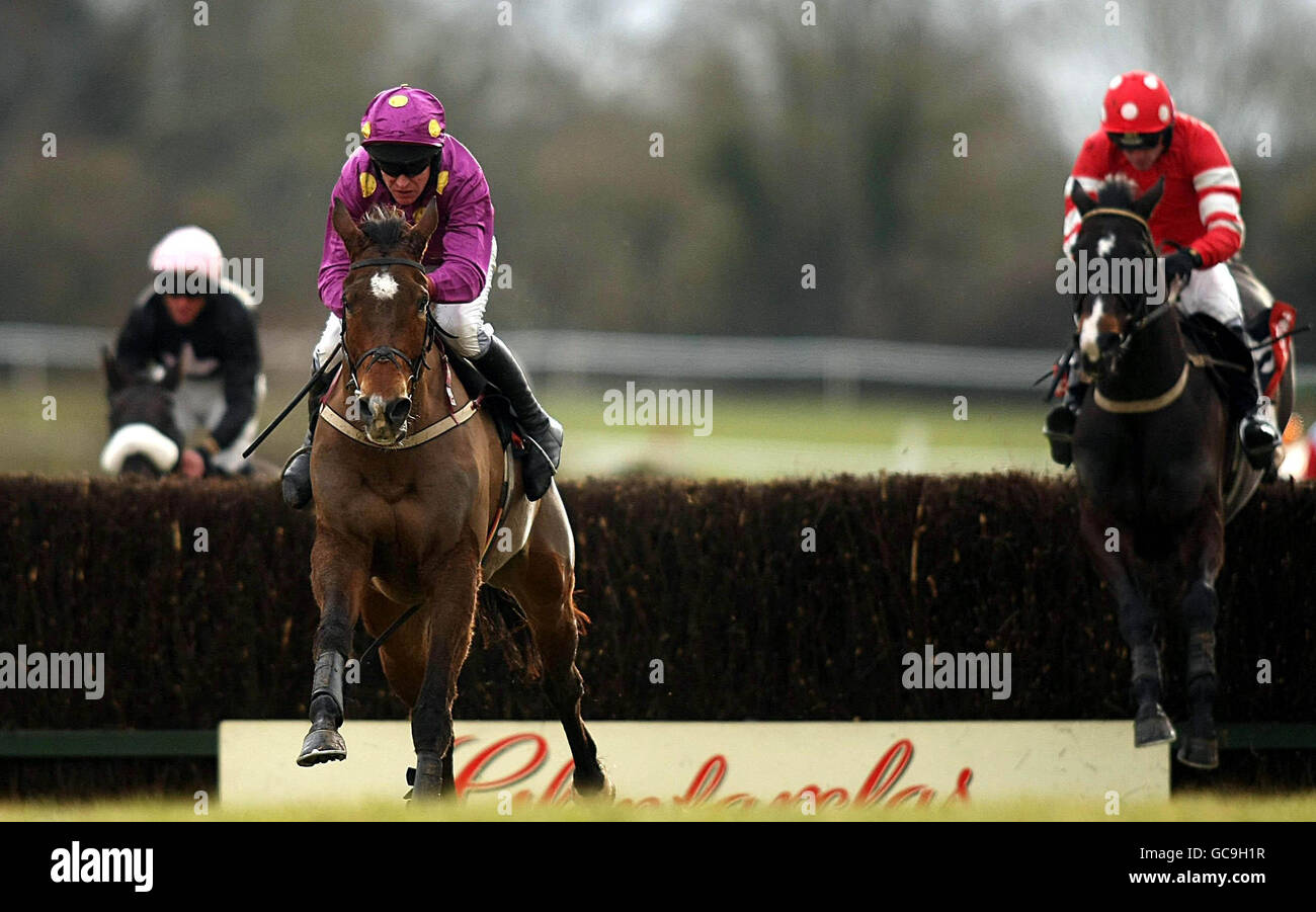 Big Zeb and jockey Barry Geraghty go on to win the Punchestown ...