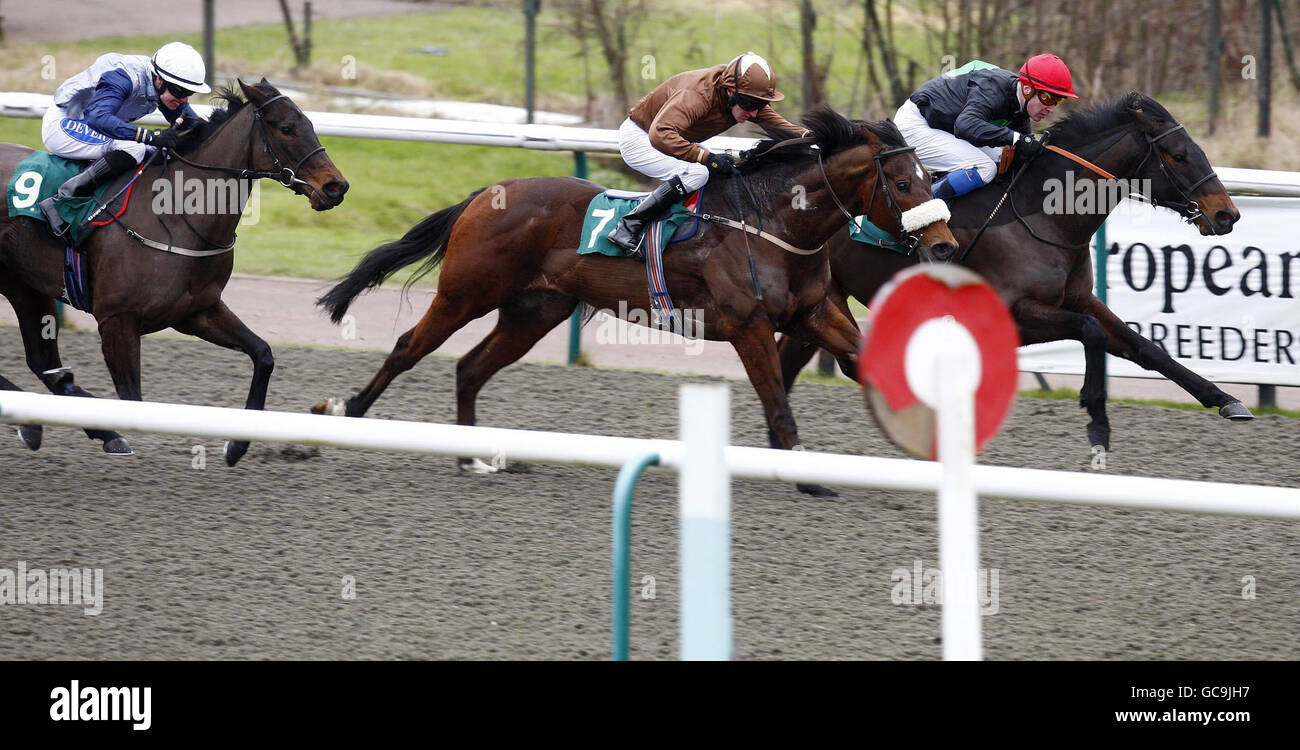 Horse Racing - Lingfield Racecourse Stock Photo - Alamy