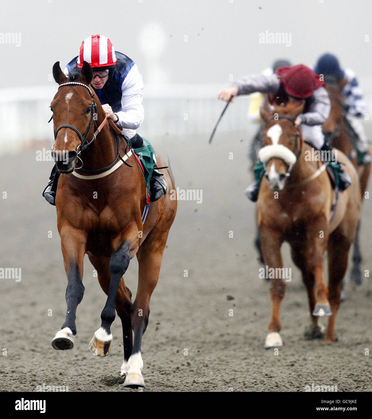 Orse racing hi-res stock photography and images - Alamy
