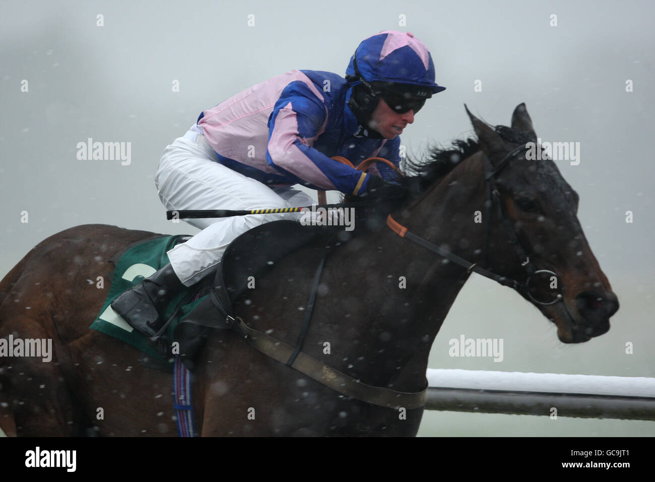 Richard butler hi-res stock photography and images - Alamy