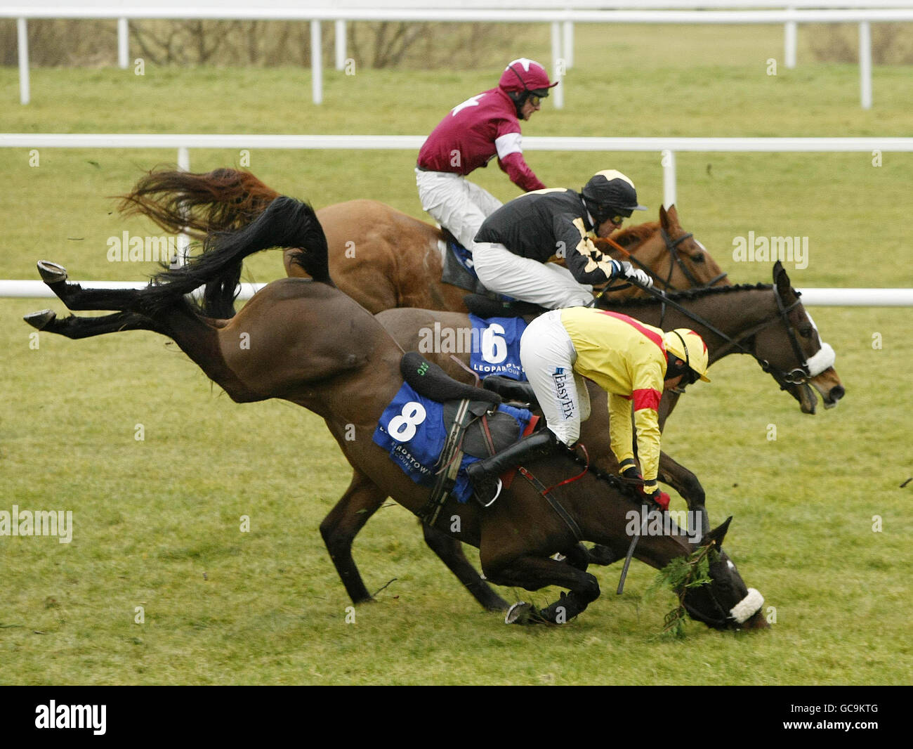 Davey Condon falls from Zaarito at the last in the DR PJ Moriarty ...
