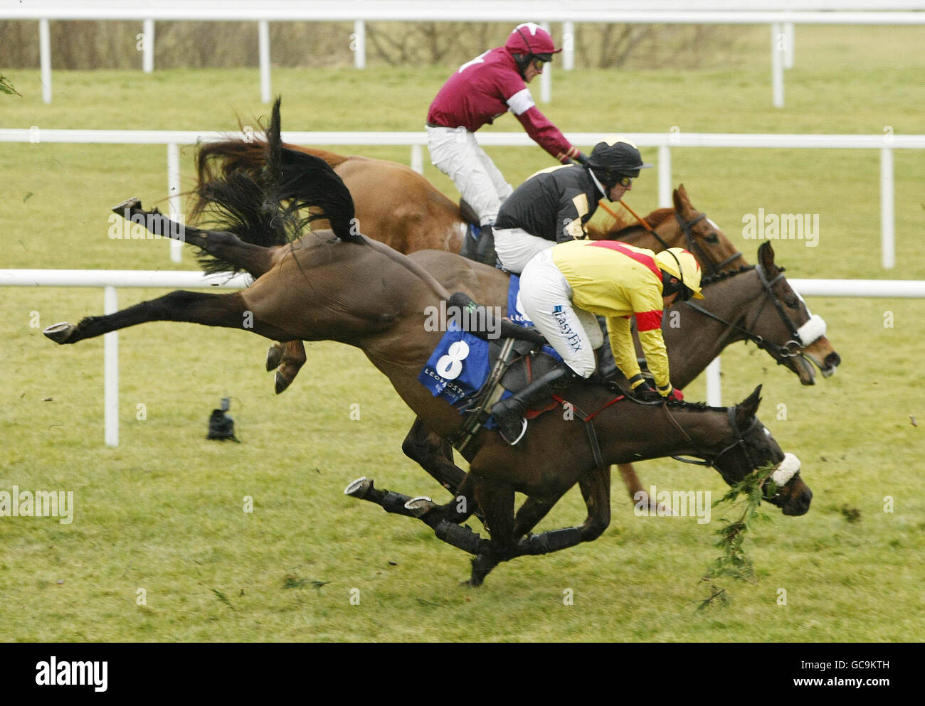 Davey Condon falls from Zaarito at the last in the DR PJ Moriarty ...