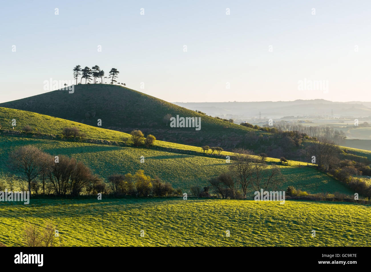 Colmer's Hill Springtime Stock Photo - Alamy