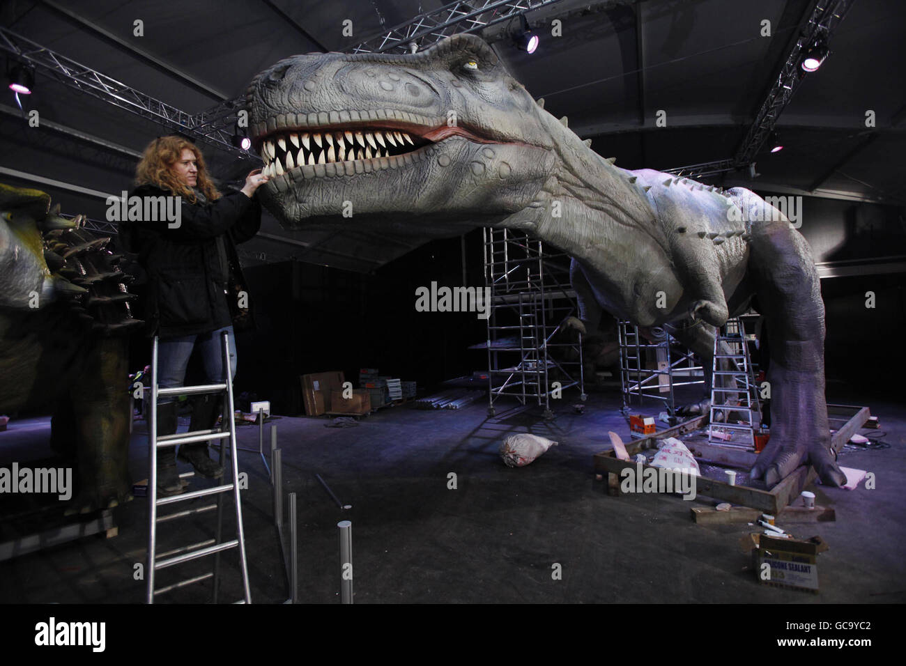 24 full size dinosaurs hi-res stock photography and images - Alamy