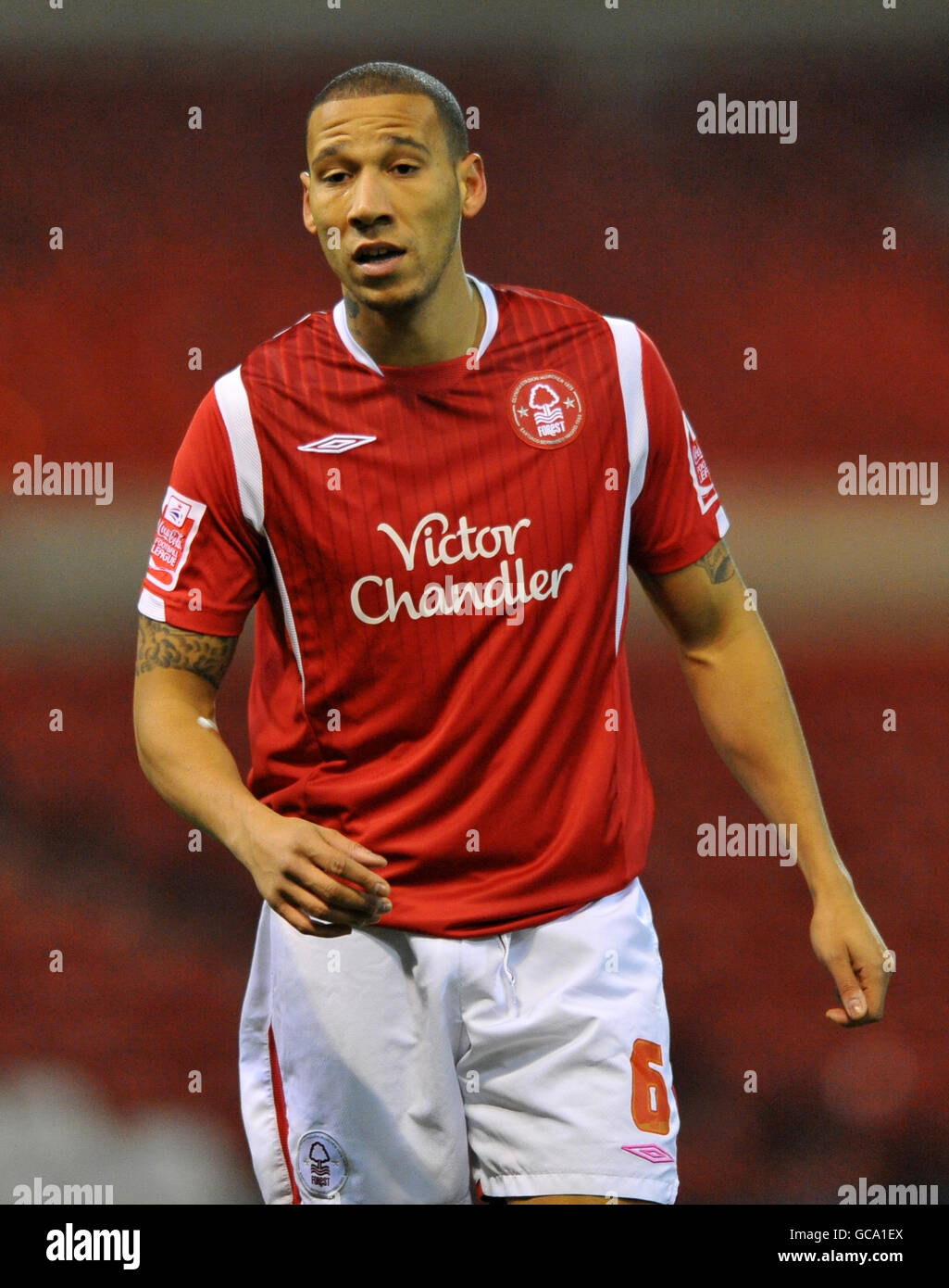 Kelvin wilson forest hi-res stock photography and images - Alamy