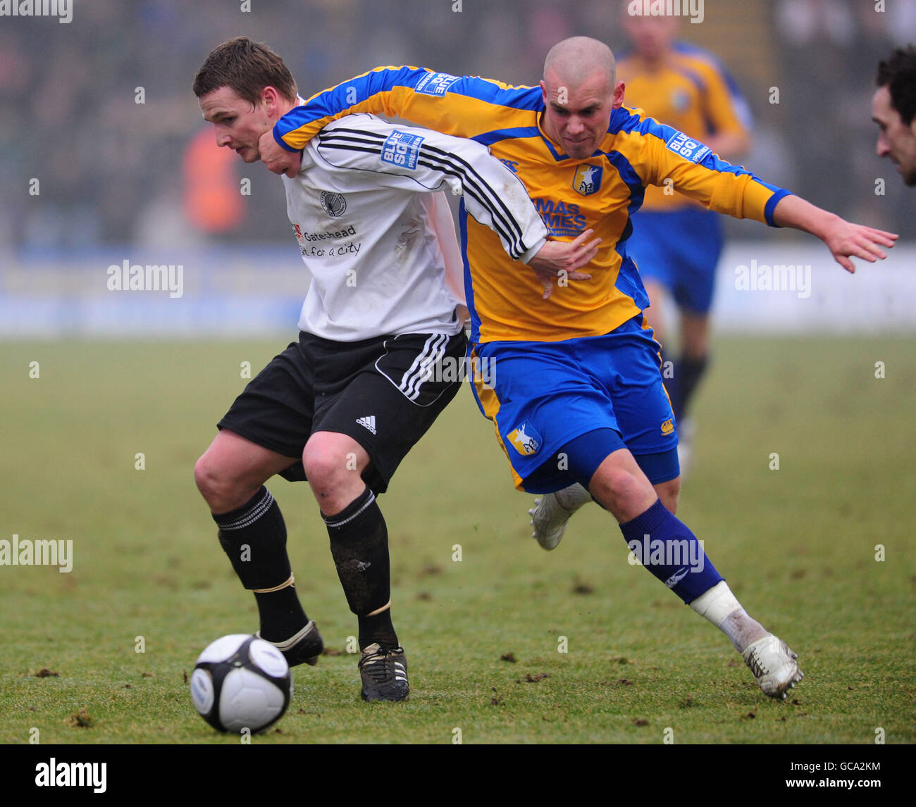 Briscoe field hi-res stock photography and images - Alamy